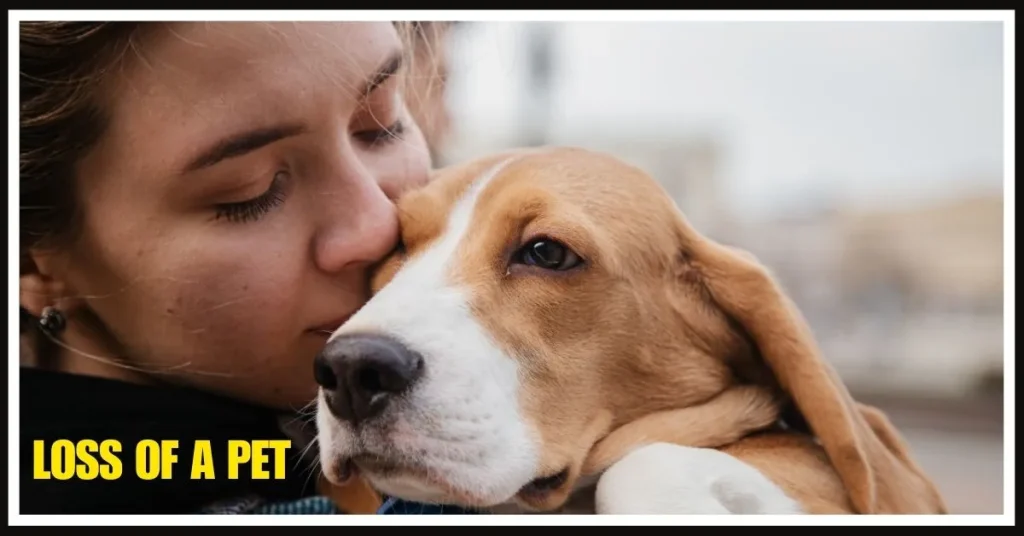 15+ Bible Verses for the Loss of a Pet: Meaning